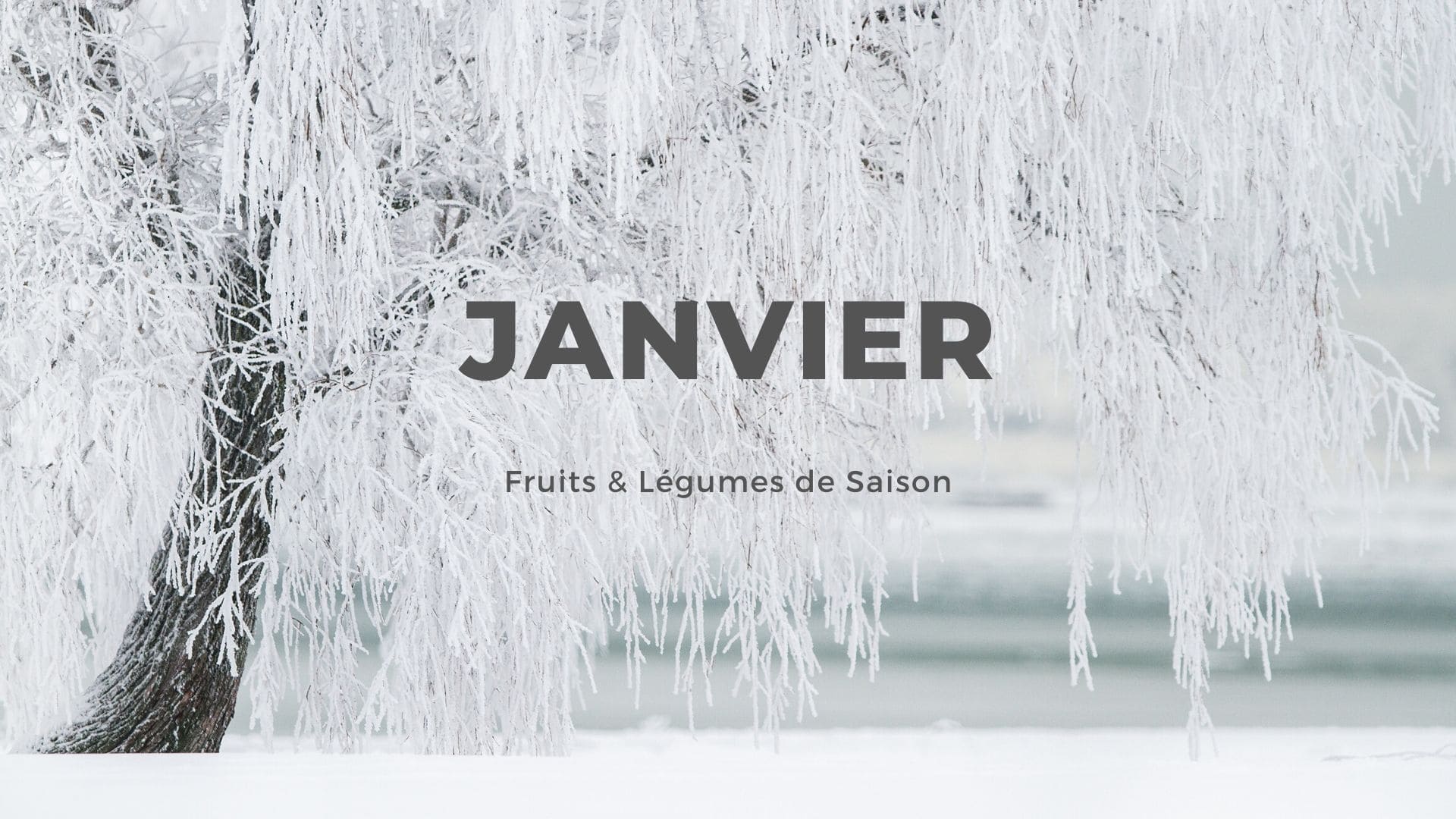 Fruits et légumes du mois de Janvier - Bien Etre et Nutrition