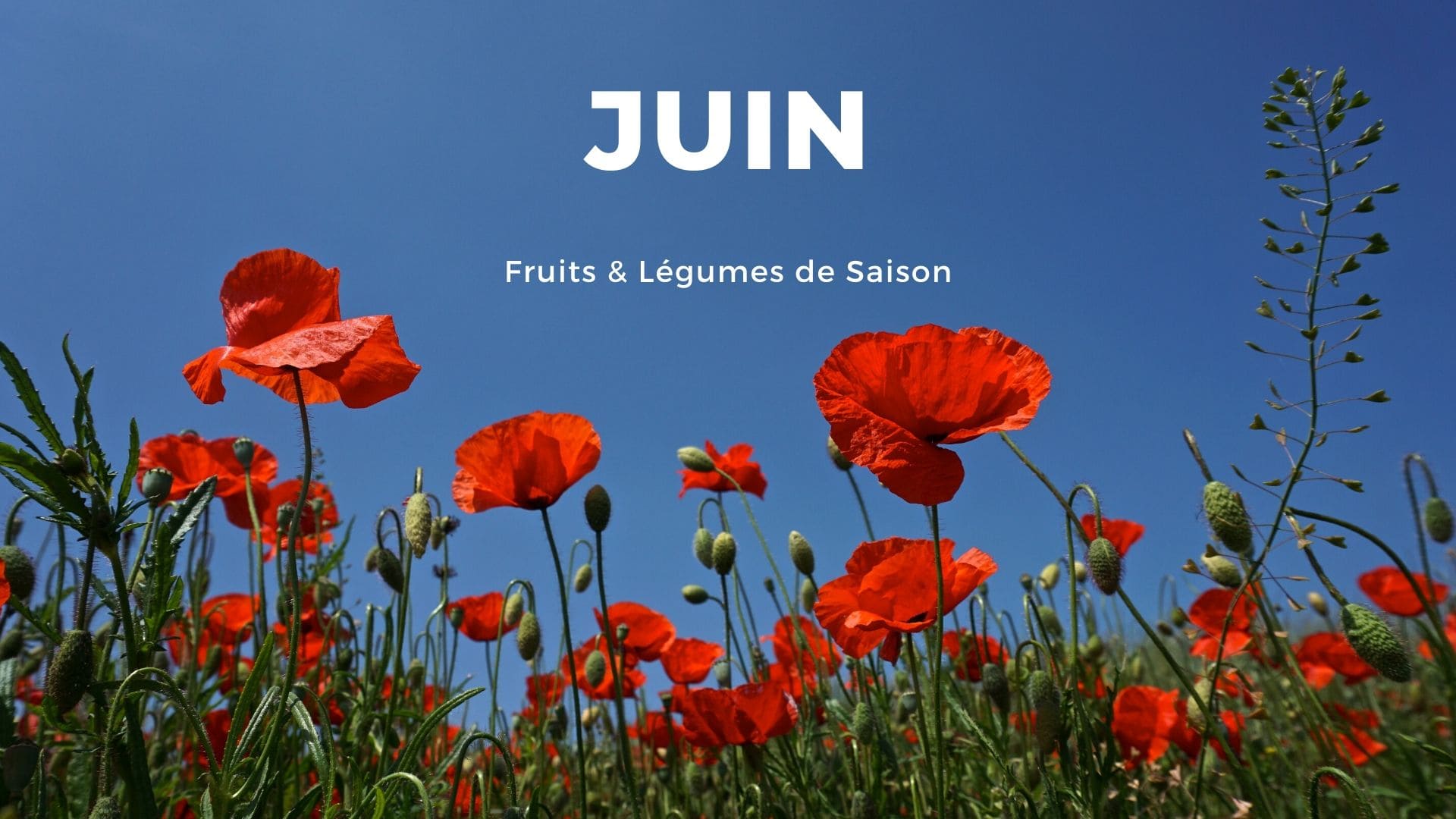 Fruits et Légumes du mois de Juin - Bien Etre et Nutrition